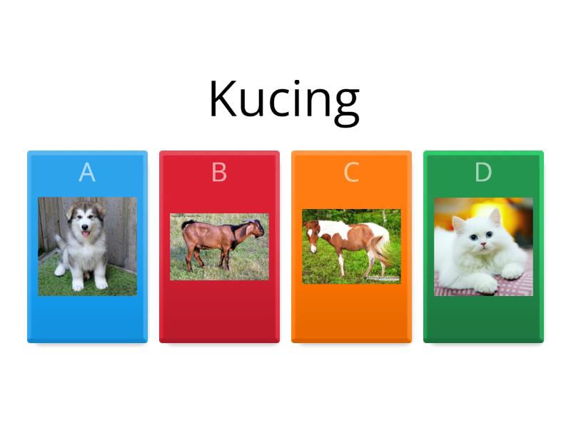 Tebak Gambar - Quiz