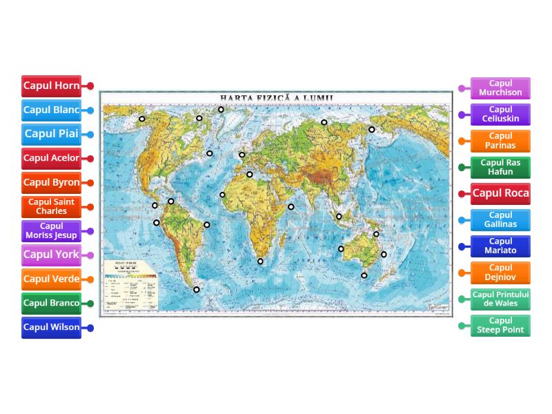 Extremitati - Labelled diagram