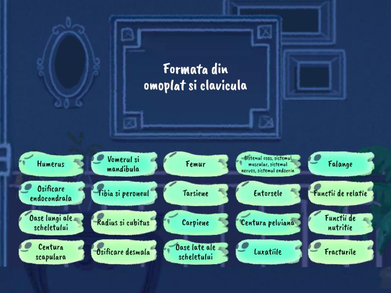 Sistemul osos - Find the match