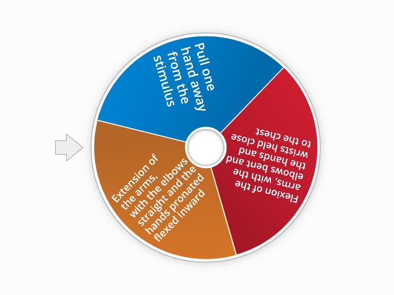 Neurological monitoring (activity 1) - Spin the wheel