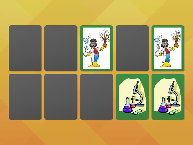 Science OH - Matching pairs