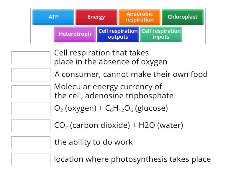 Cell Energy Vocabulary - Une las parejas