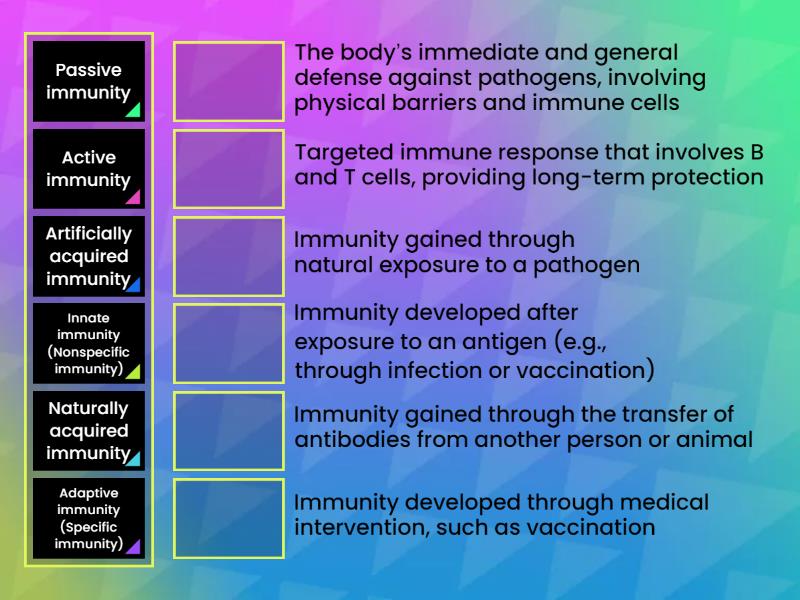 Types of Immunity - Une las parejas