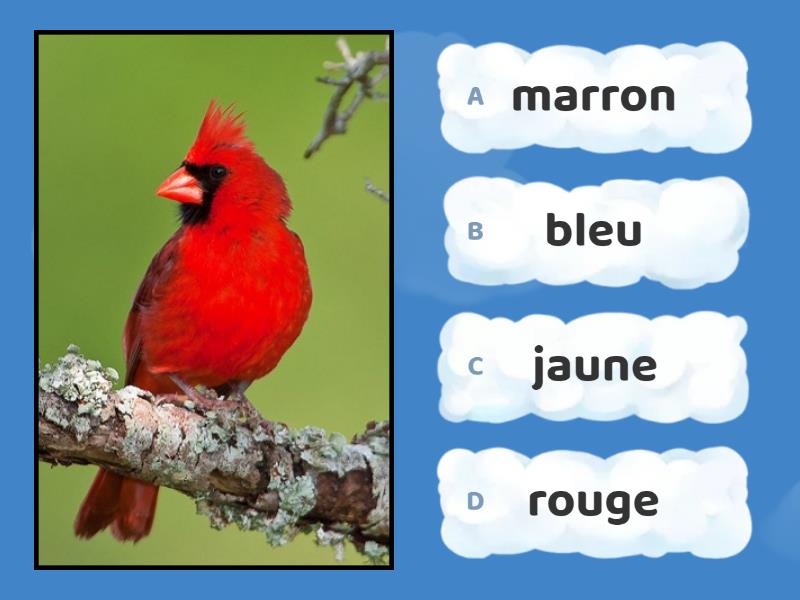 Les couleurs - 2 - Quiz