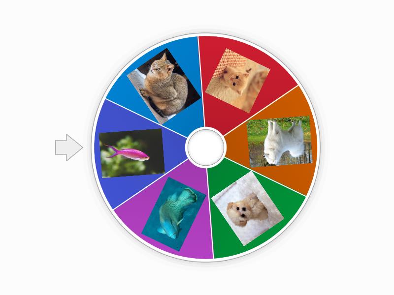 Animals - Spin the wheel