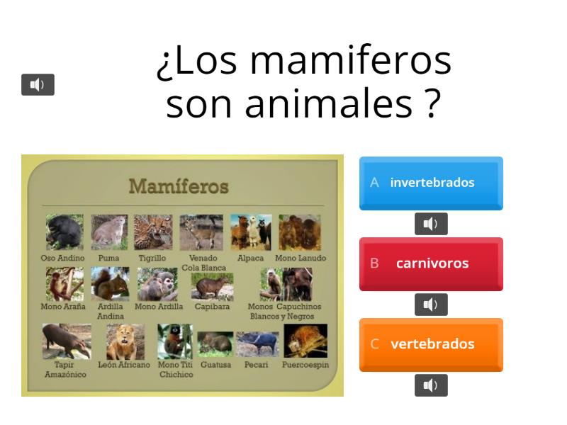 Aprendiendo sobre los mamiferos. - Quiz