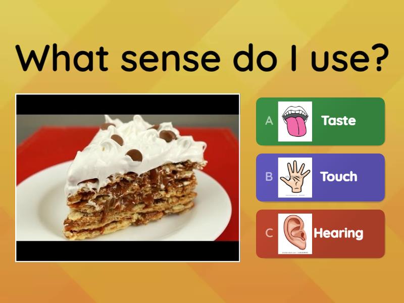 THE FIVE SENSES - Quiz