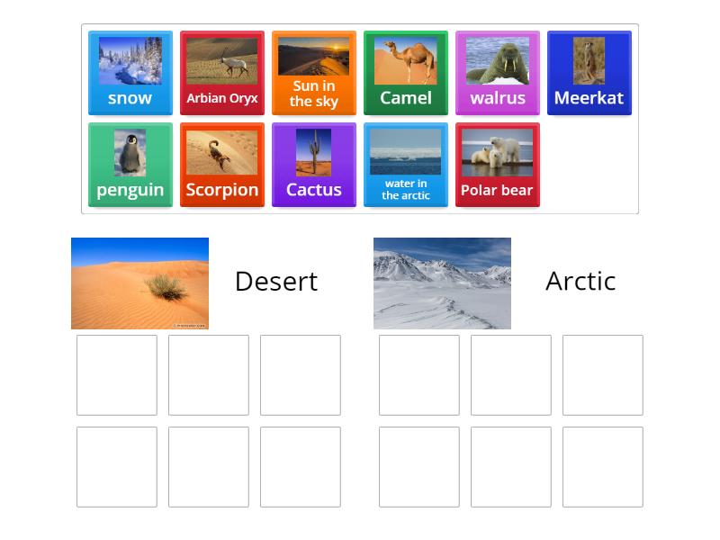 Desert or not desert - Group sort