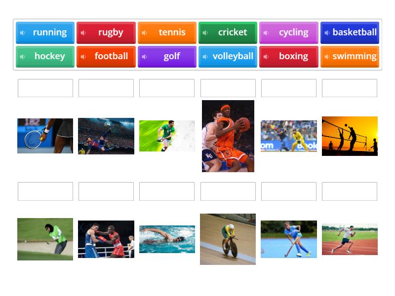 Sport vocabulary - Match up