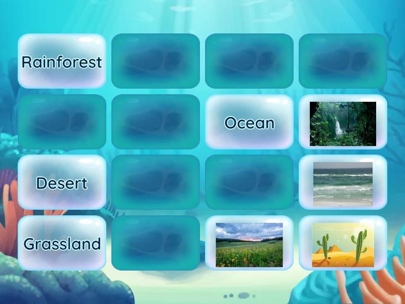 Vocabulary Biomes 4th - Matching pairs