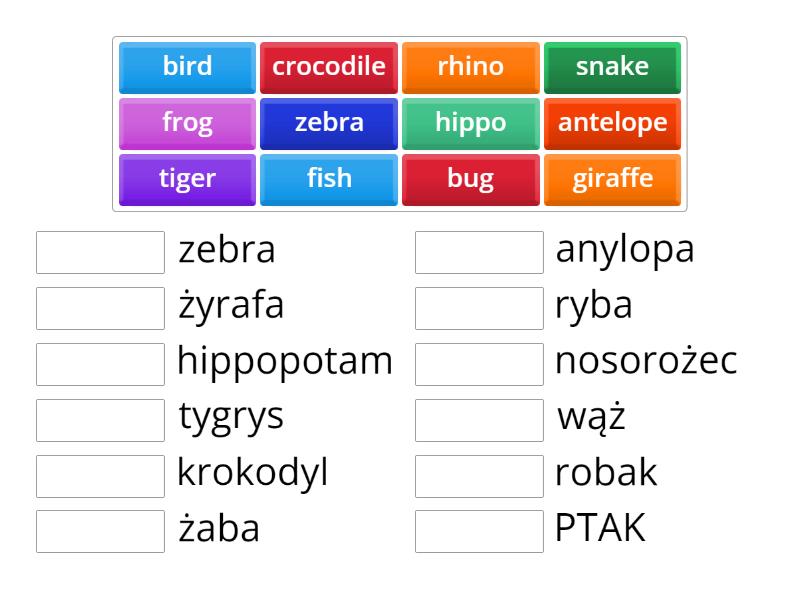 ENGLISH ADVENTURE UNIT 5 lions eat meat ANIMALS VOCABULARY - Match up