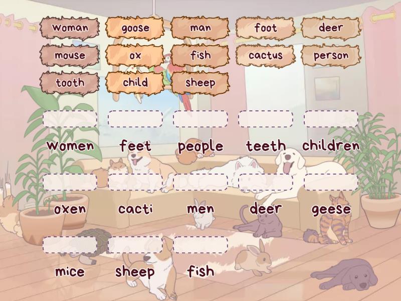 Plural nouns - Match up