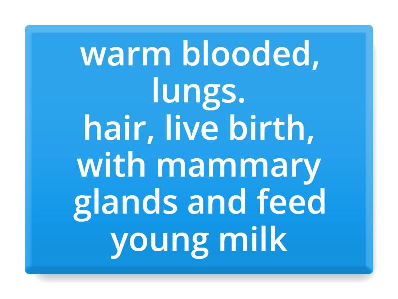 5 Groups of Vertebrates - Flash cards