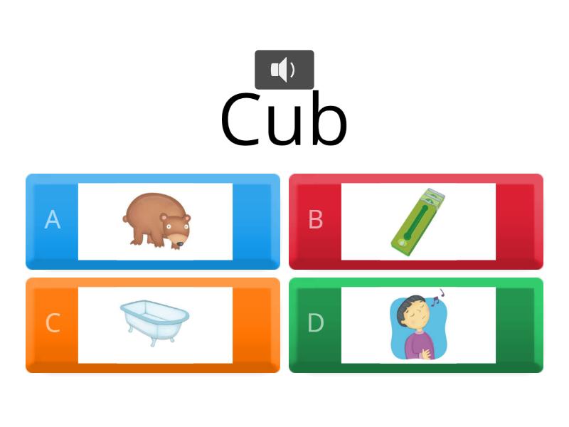 Oxford Phonics ut-ub-um-un - Quiz