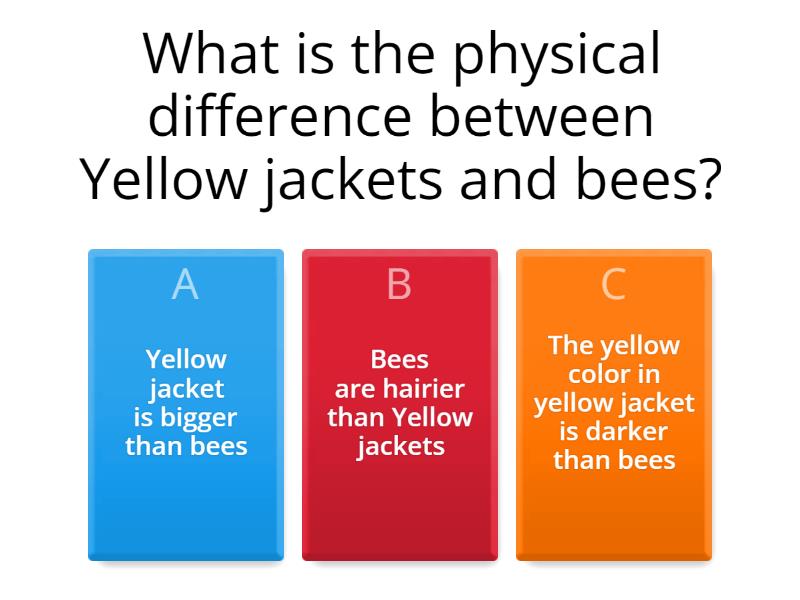 How much do you know about Yellow Jackets? - Quiz
