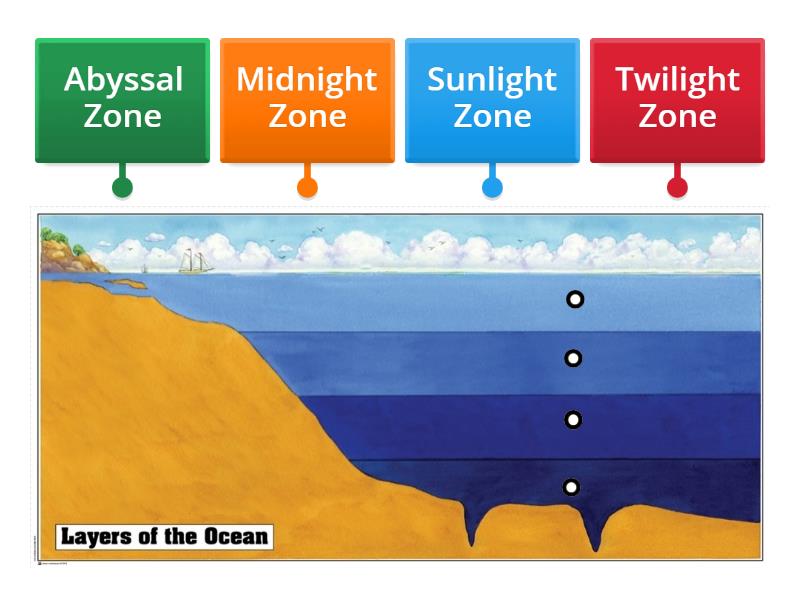 4 Layers of Ocean - Labelled diagram