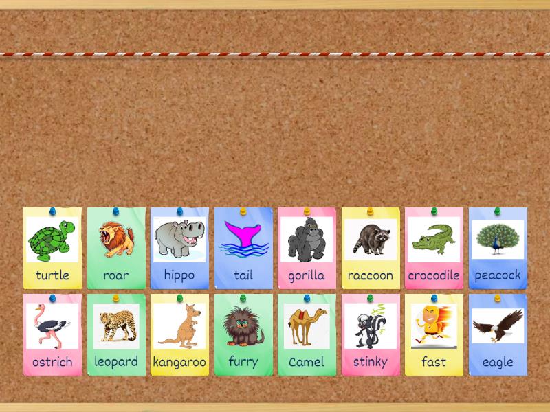 Spelling bee - Level A - Zoo Animals - Find the match