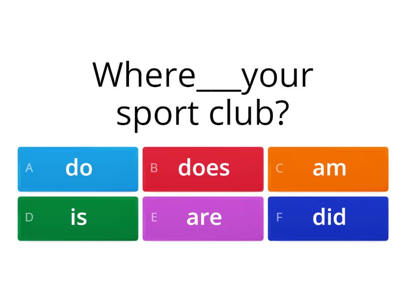 Questions do does did am is are was - Quiz