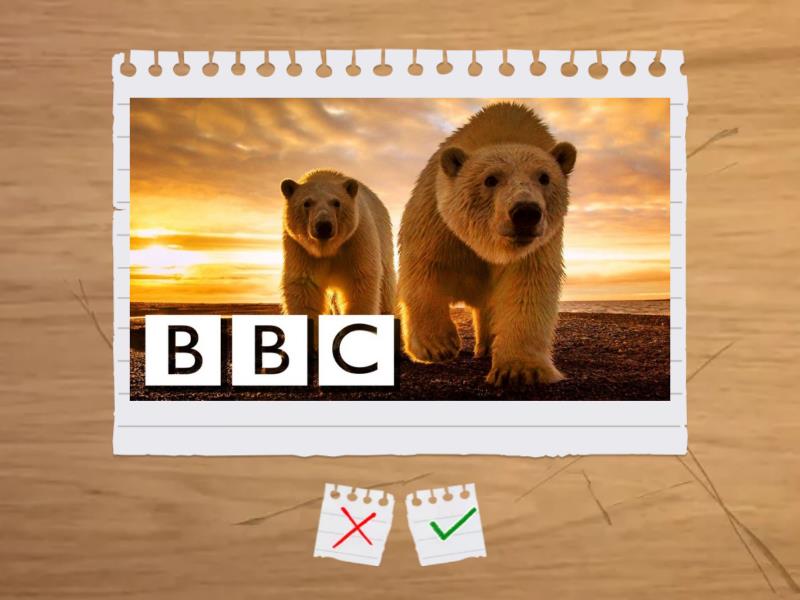 kb 5 TV programme - Flash cards
