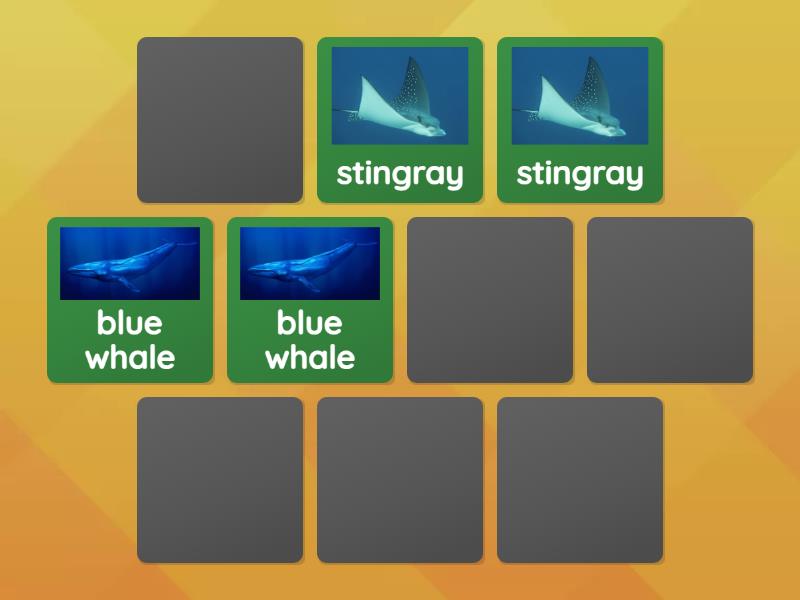 sea animals - Matching pairs