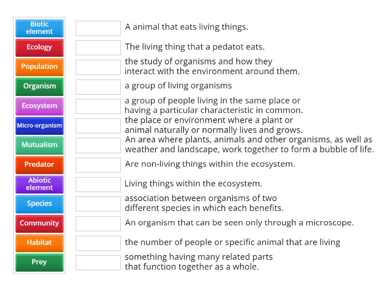 Ecosystems - Match up