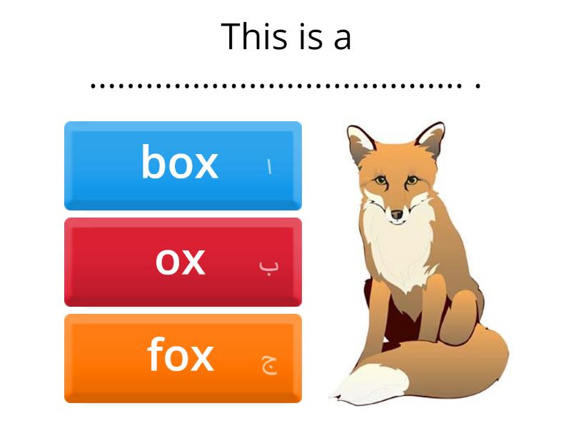 Grade 1 Unit 6 Review - Quiz