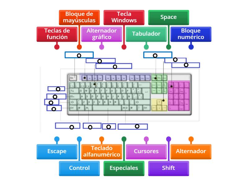 Partes del teclado - Diagrama con etiquetas