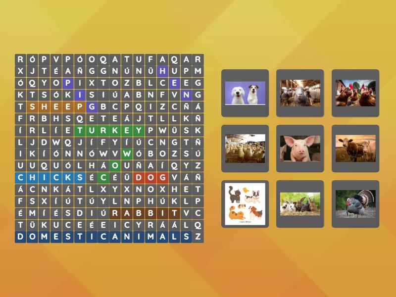 Word soup - Wordsearch