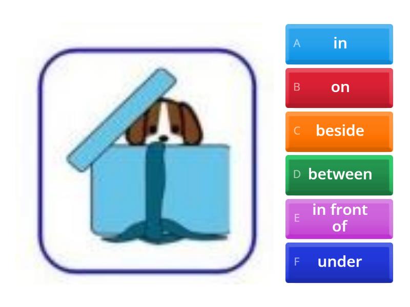 Preposition (in, on, behind, beside, between, in front of, under ...
