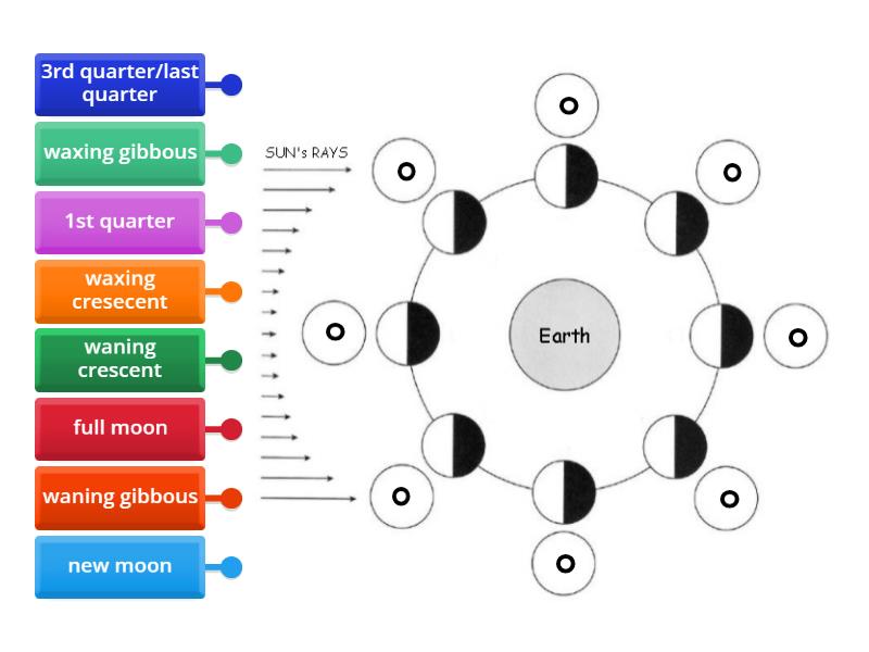 Moon Phases Review - Labelled diagram