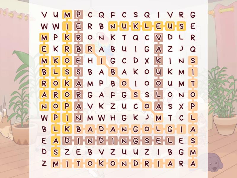 Sel - Wordsearch