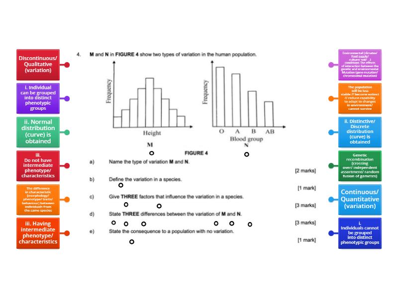 Variation in the human population. - Labelled diagram