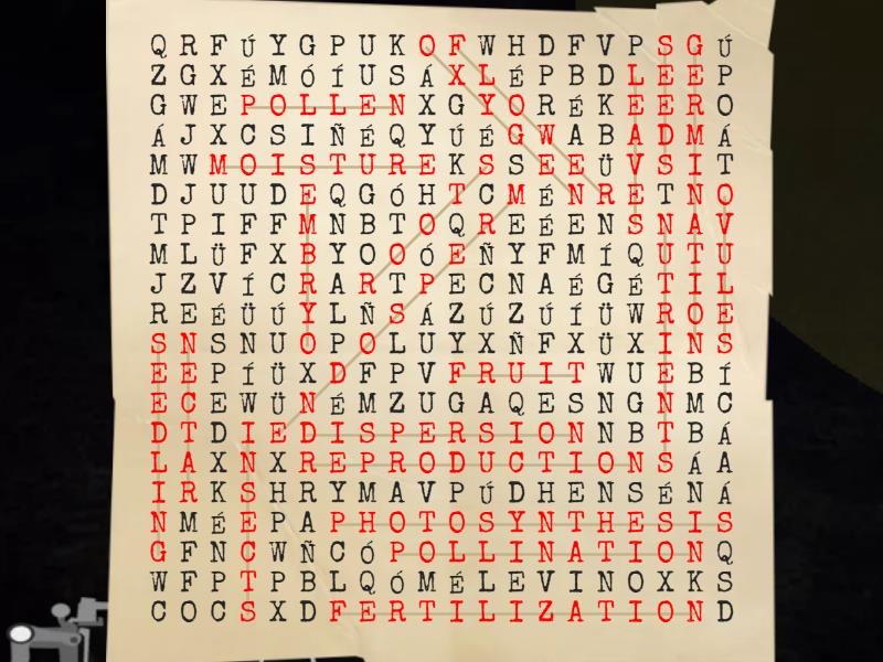 PLANTS LIFE CYCLE - Sopa de letras