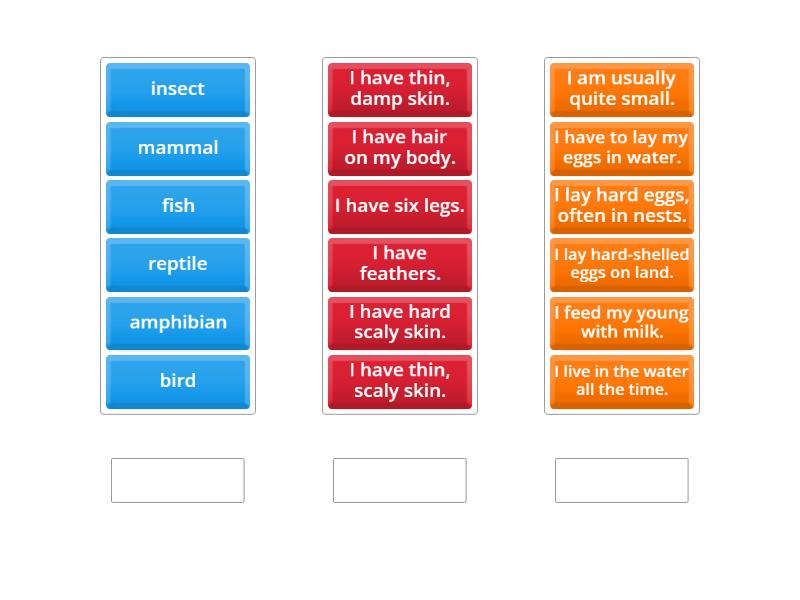 Sorting animal groups - Make sets