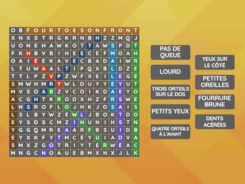 French FA - Wordsearch