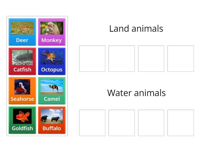 Land and Aquatic Animals - Group sort
