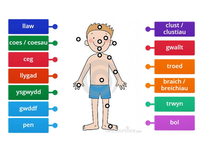 Labelu Rhannau'r Corff Set 1 - Labelled diagram