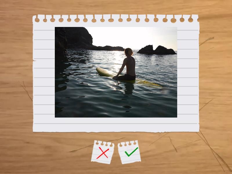 Surfing Text Flashcards Pre-Task - Flash cards
