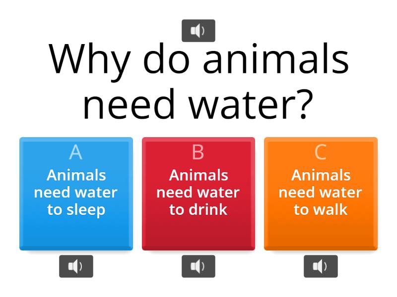 Why do we need water? - Quiz