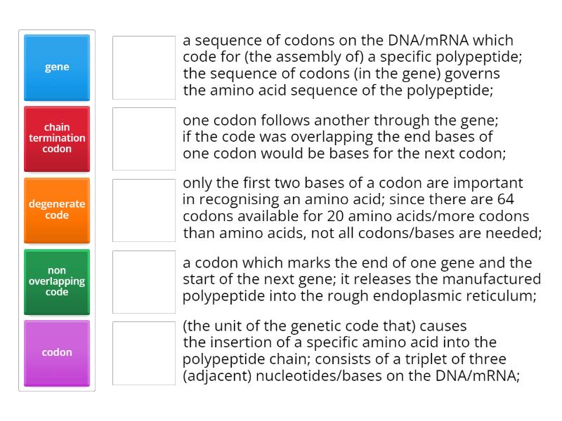 Genetic code terminology - Match up