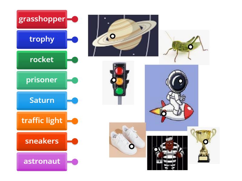 zzz- review - Labelled diagram