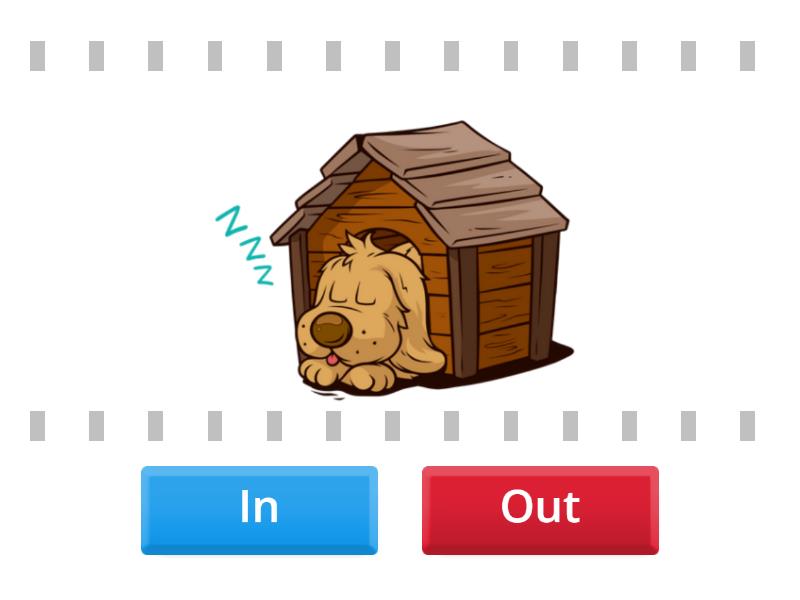 In and Out - True or false