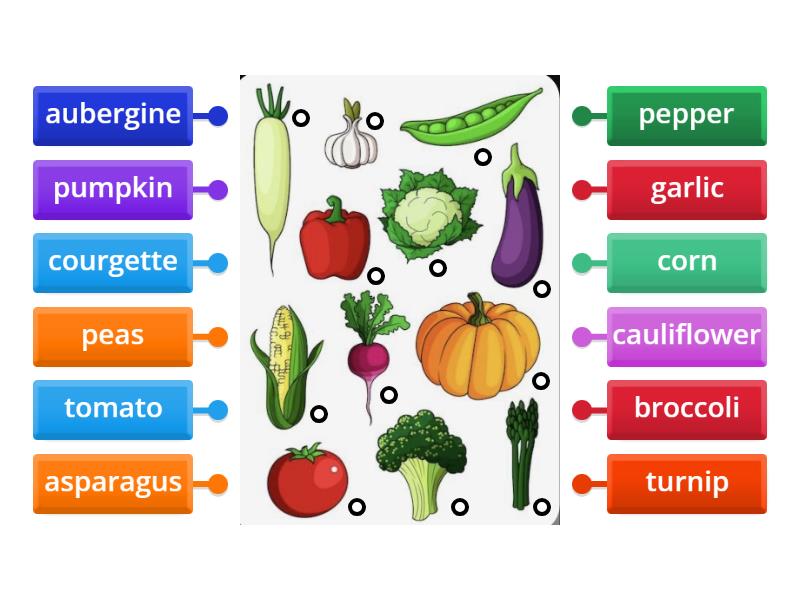 vegetables - Labelled diagram