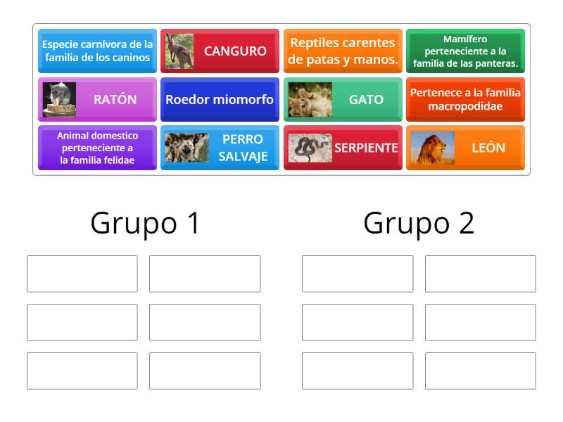 ACTIVIDAD PARA EL FORTALECIMIENTO DEL APRENDIZAJE - Group sort
