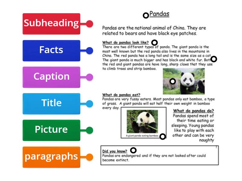 Features Of A Report Labelled Diagram