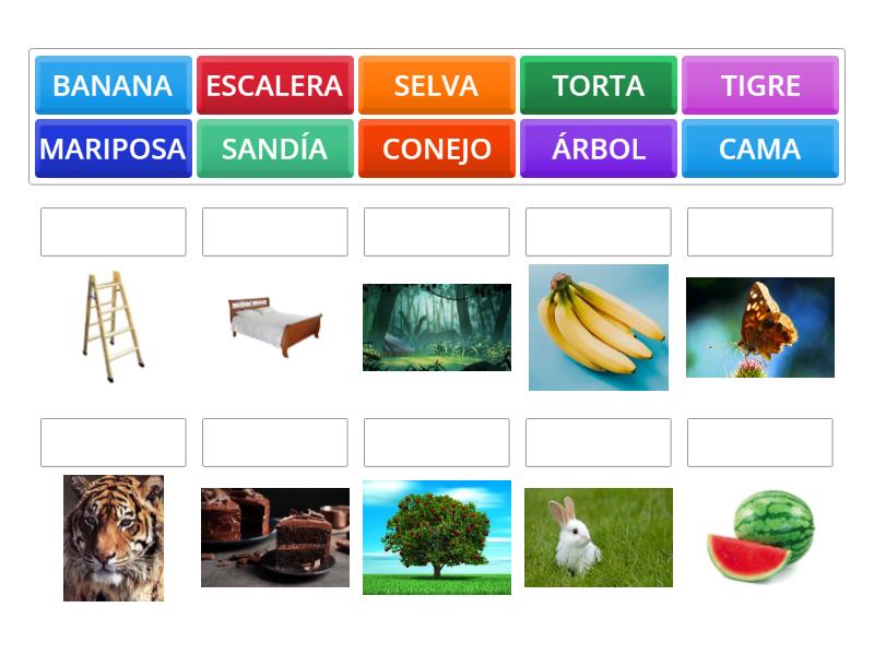EMPAREJAR - PALABRA CON IMAGEN - Match up
