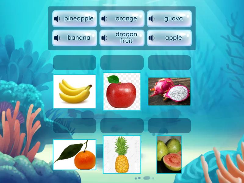 fruit - Match up