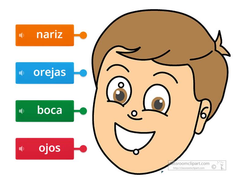 Spanish - La Cara - Labelled diagram