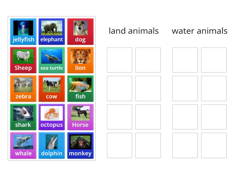 Sorting animals into water / land animals - Group sort