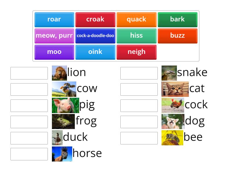 Animal Sounds - Match up